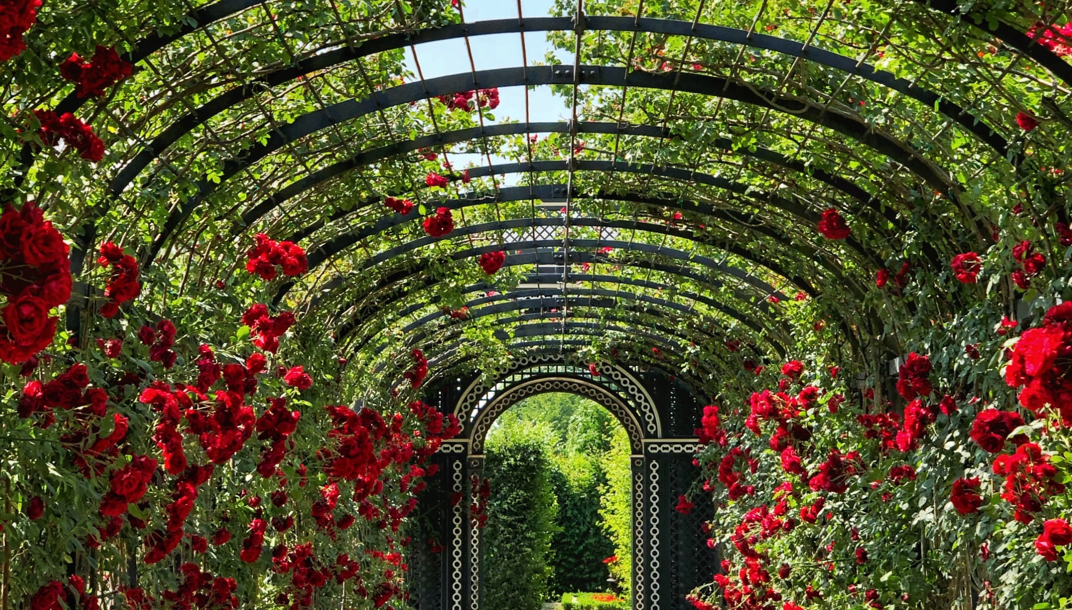 Vesna | Проект